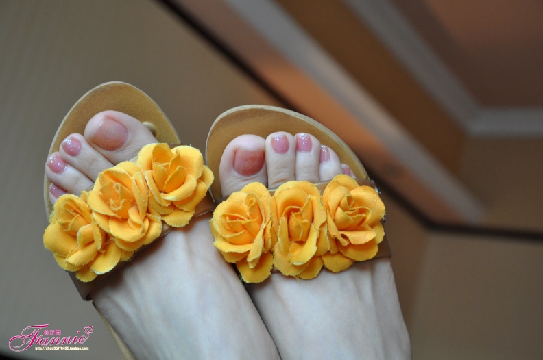 DSC 0255 | （福妹）主题相册